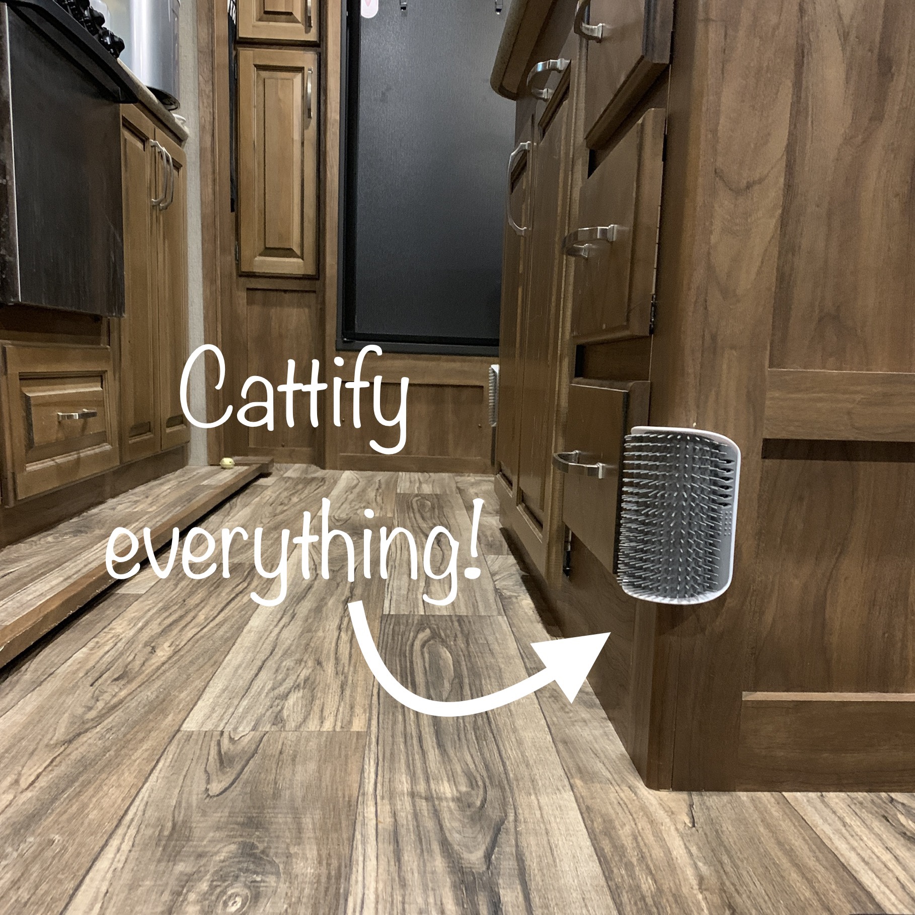 RV life with cats: cattifying your RV for maximum feline happiness ...